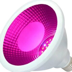Luces LED rojas: tips para elegir las mejores para tu hogar